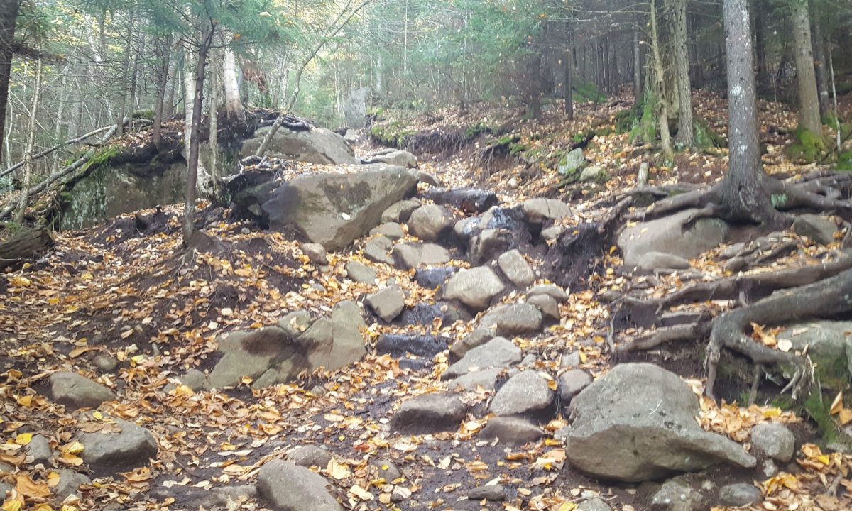 Podcasts Home - The Capitol Pressroom