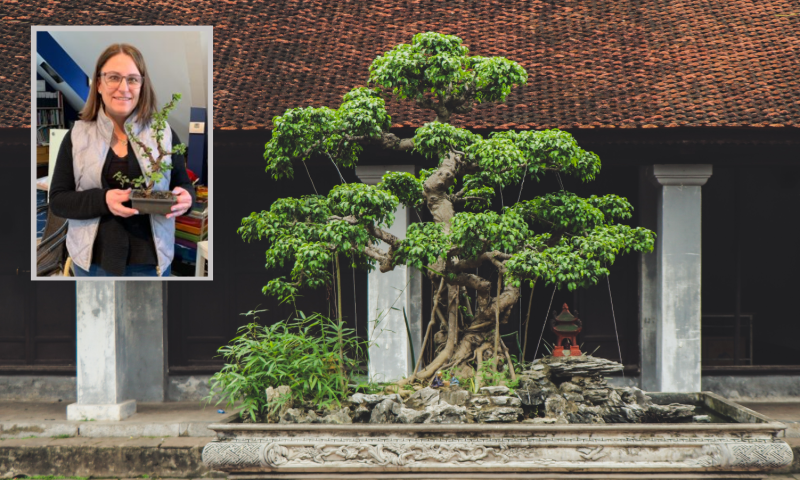 Poozer Pop Culture: Sweep the leg, prune the tree - The Capitol Pressroom