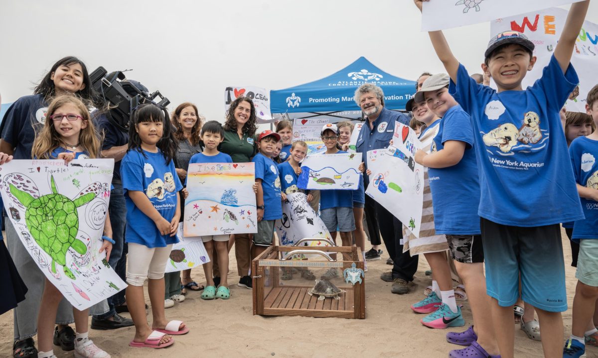 Podcasts Home - The Capitol Pressroom